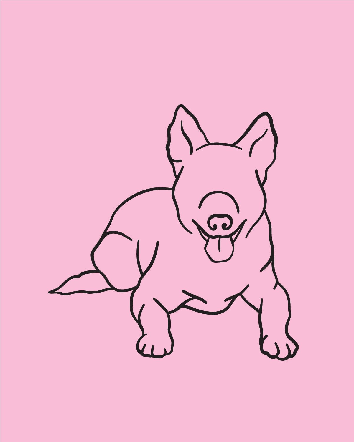 CattleDog-497059.jpg?v=1644283636