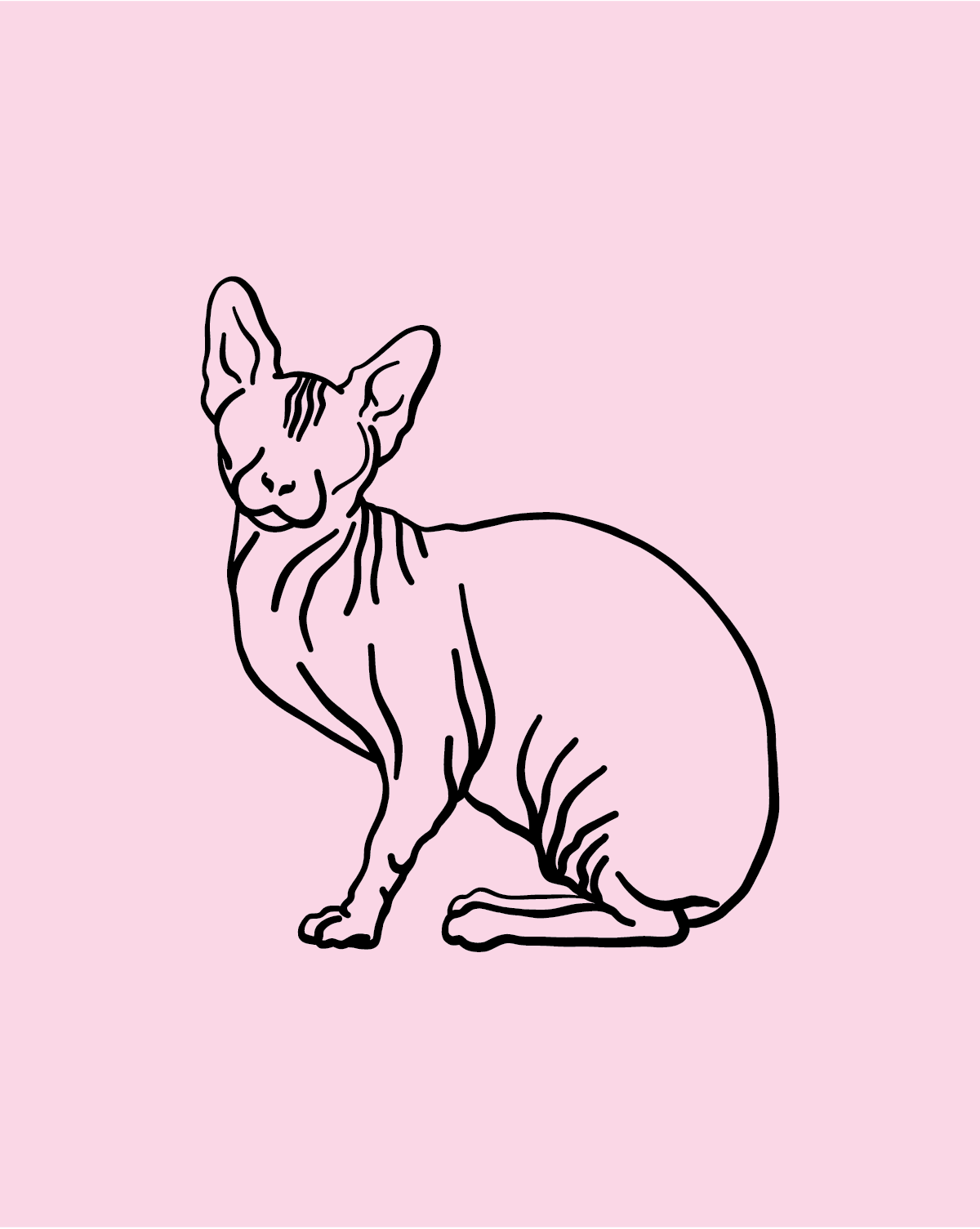 Spynx.png?v=1636504690